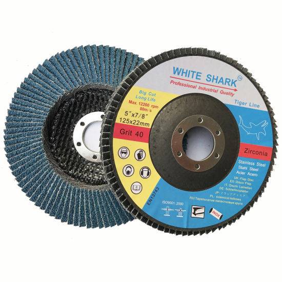 Flap Disc – White Shark – Damidsu